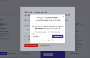 Best Feedback Popup Surveys Examples & How To Create One